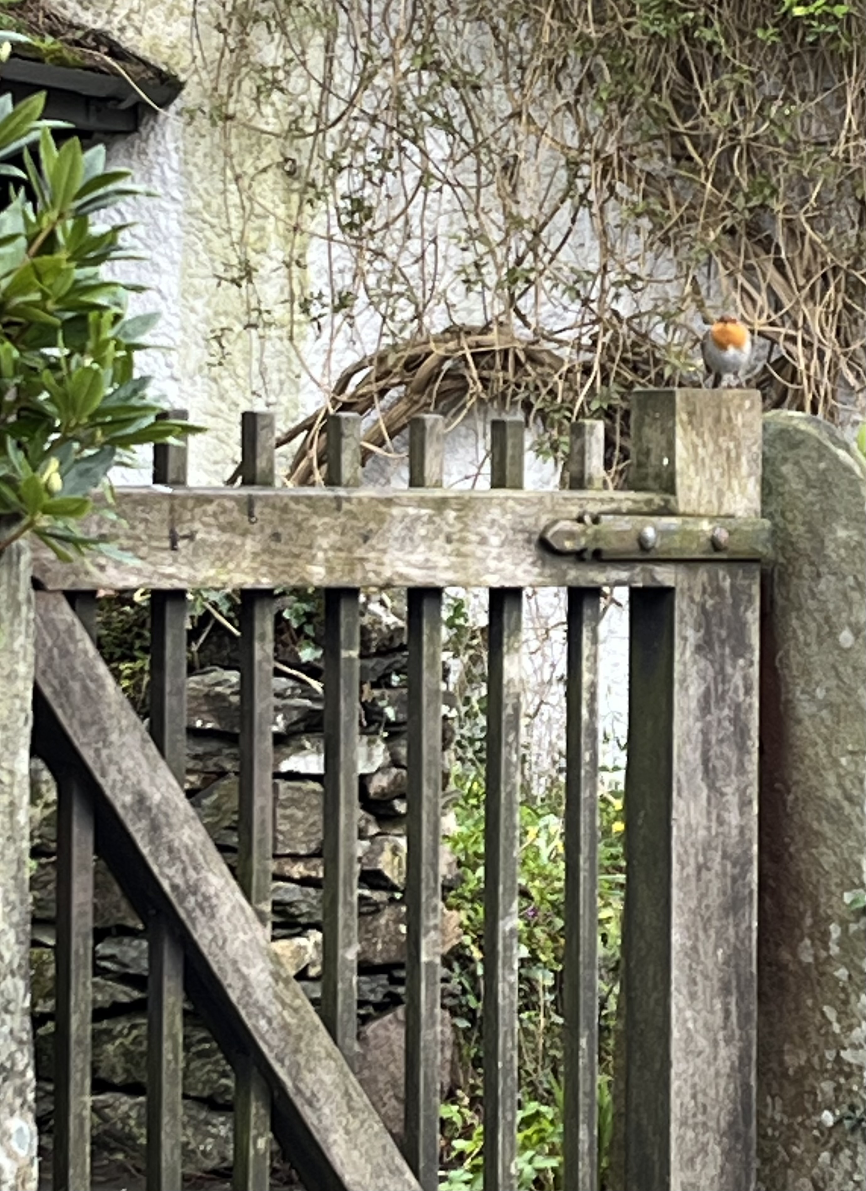 Angela Jelf – Writes Poems, Stories & Faith-Based Content For Kids of ...