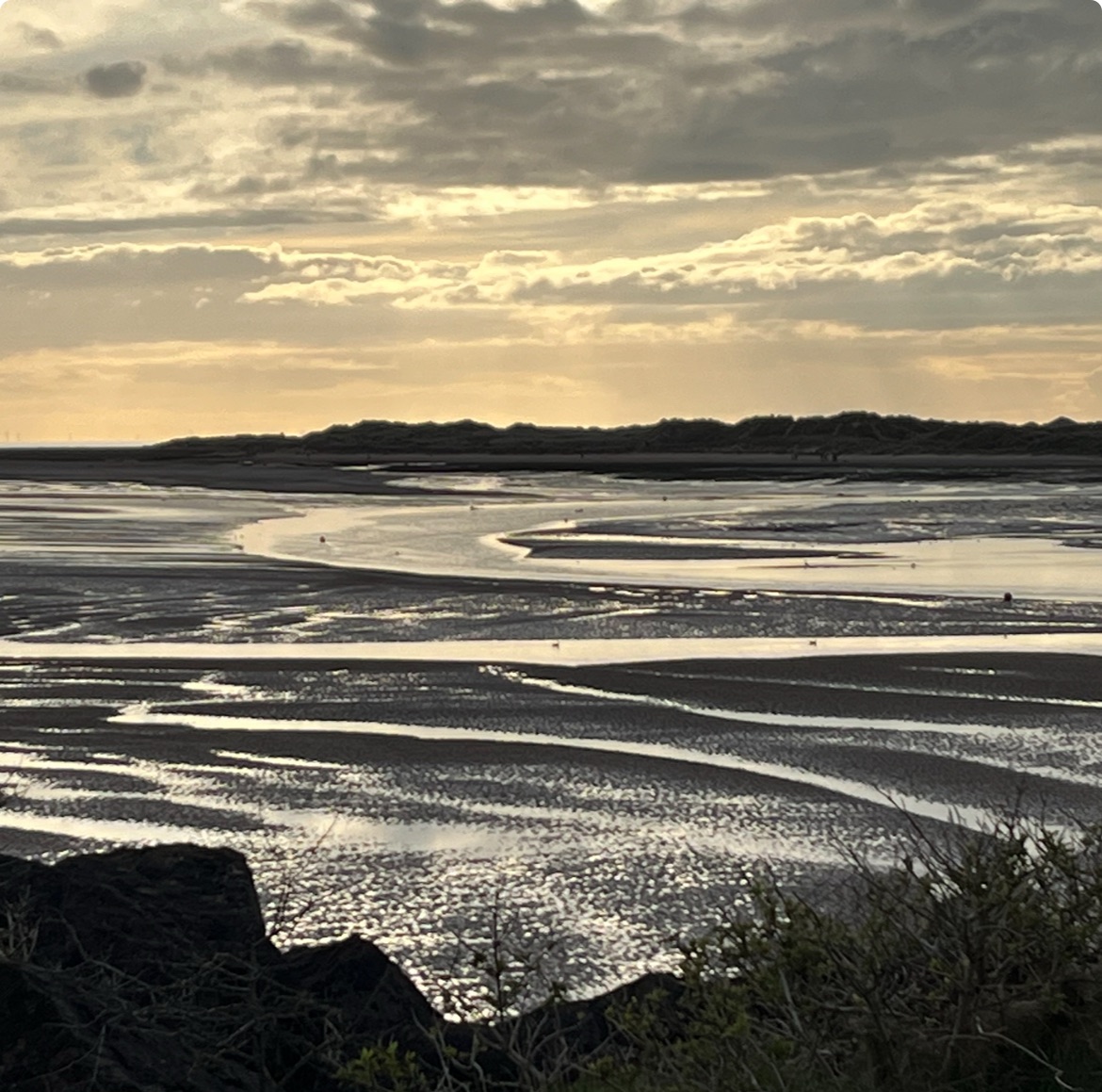 How-do-you…Haiku? – Angela Jelf